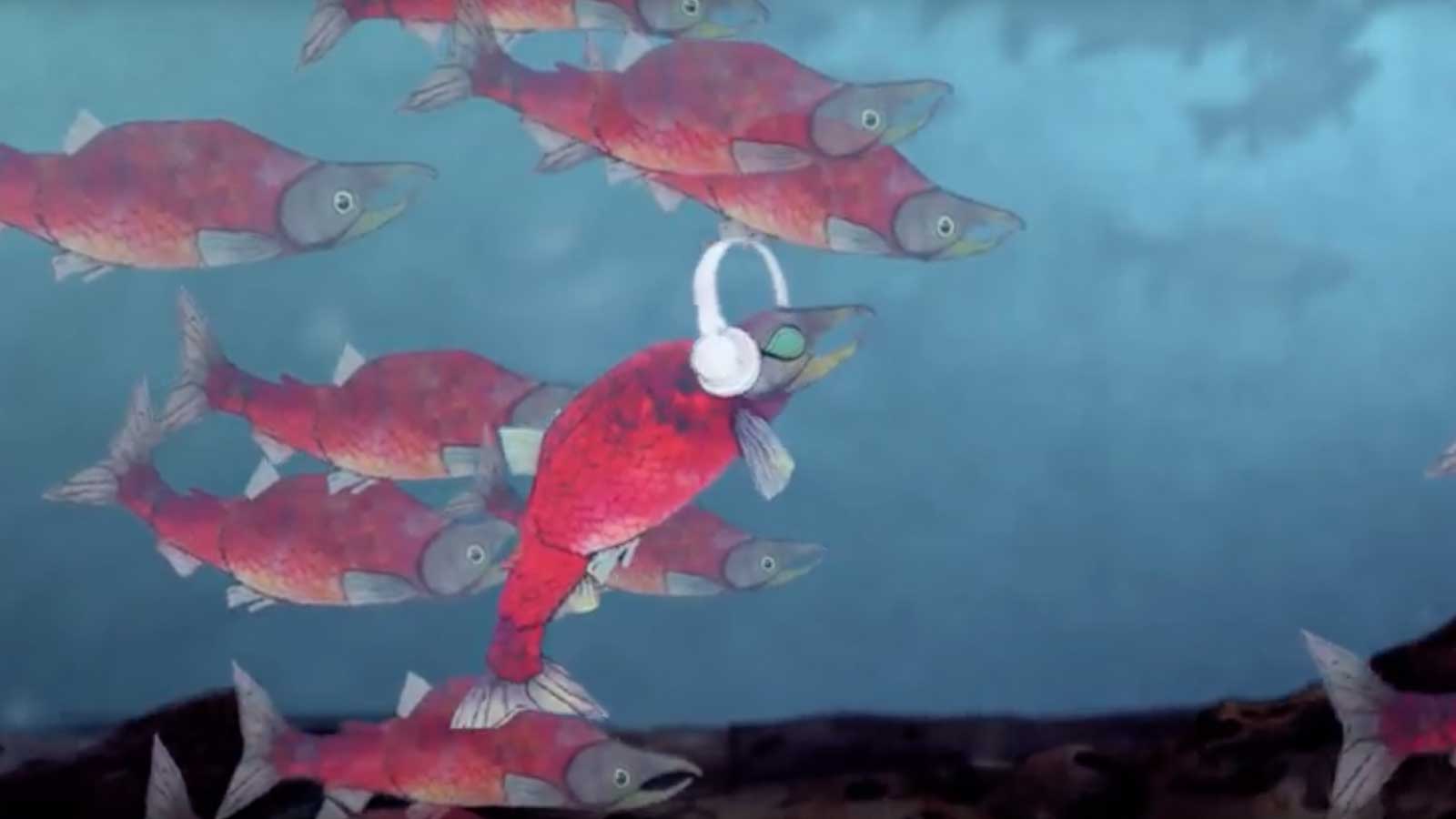 Sally the Salmon - Coyote Science