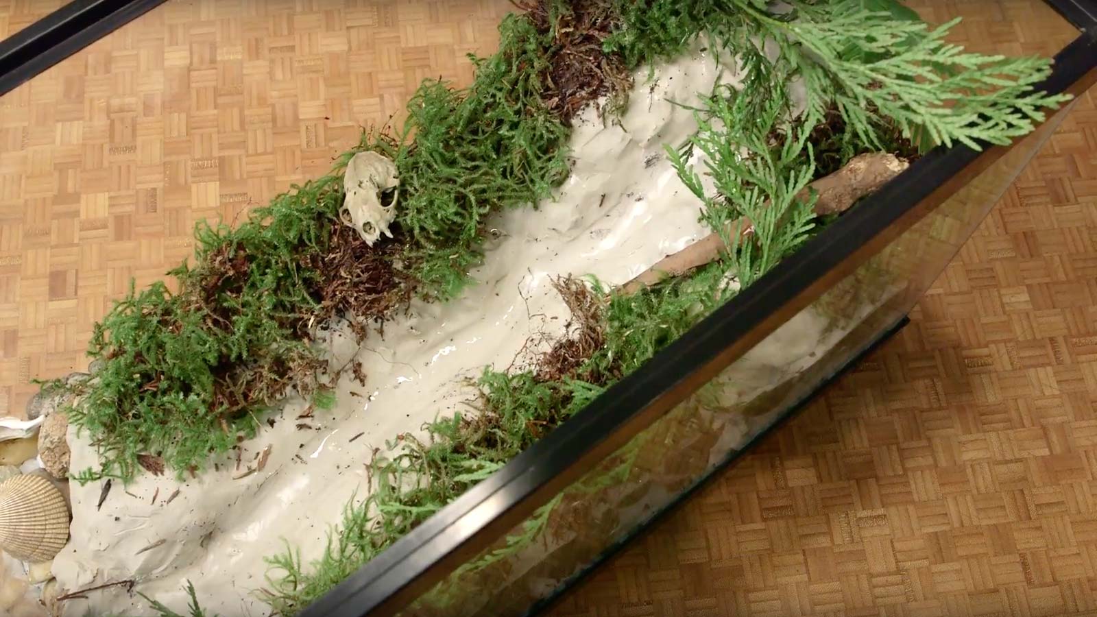 A Mini Water Cycle - Coyote Science